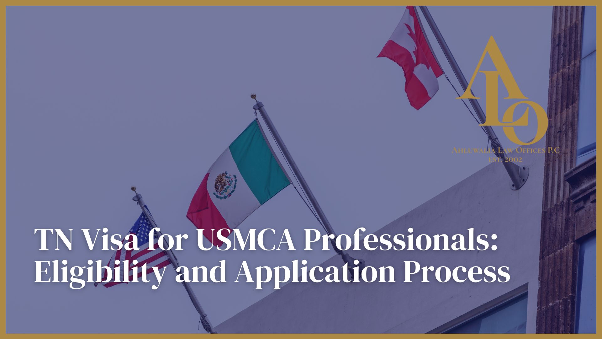 TN Visa for USMCA Professionals: Eligibility & Process